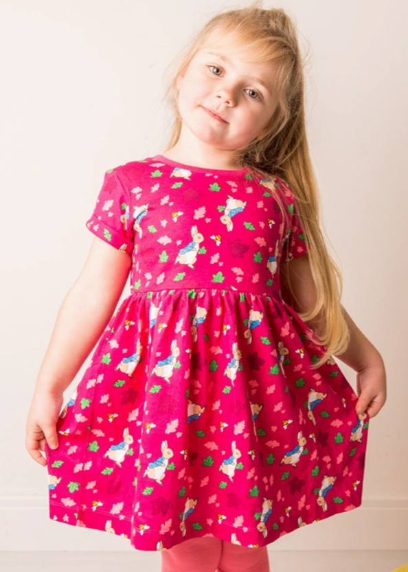 Peter Rabbit Autumn Leaf Dress – Across The Pond